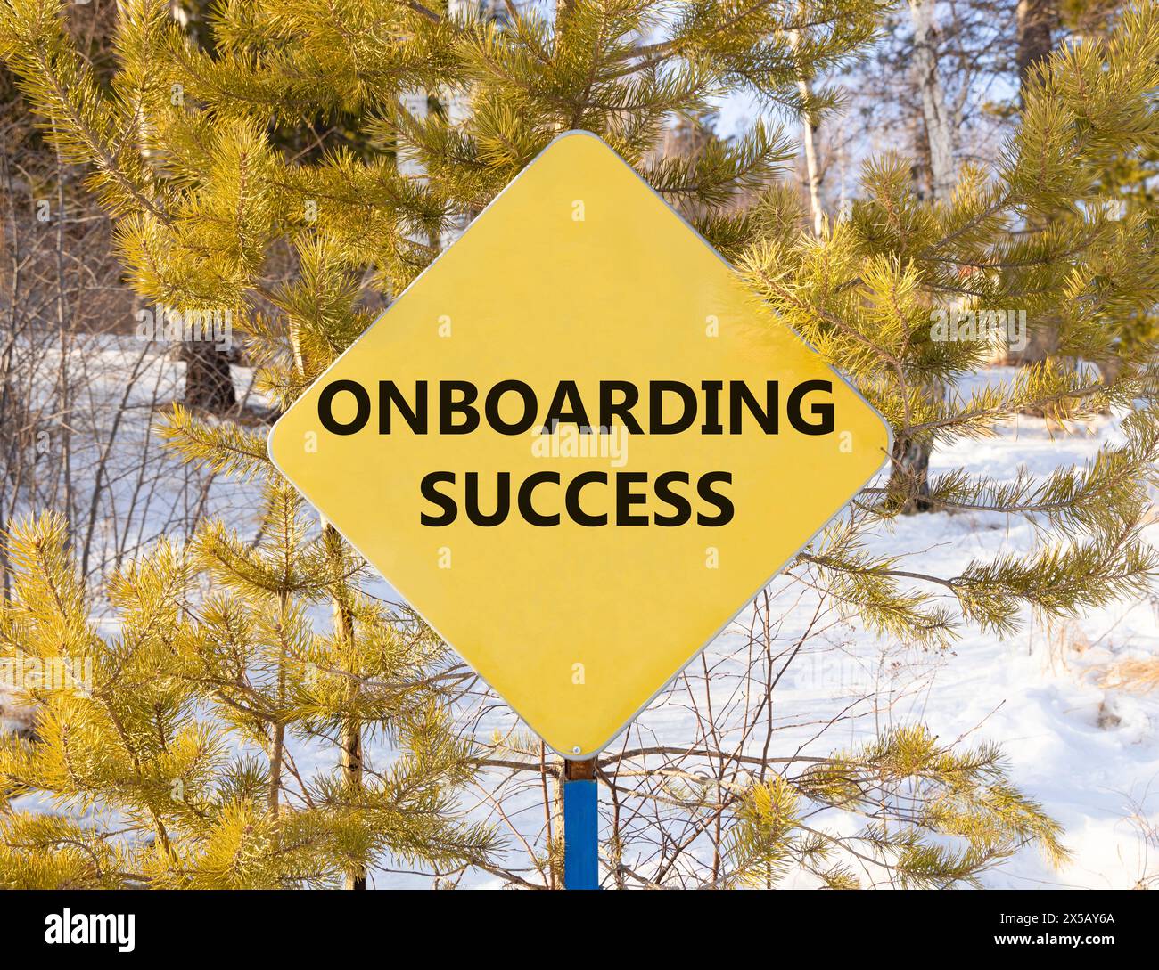 Onboarding success symbol. Concept words Onboarding success on ...