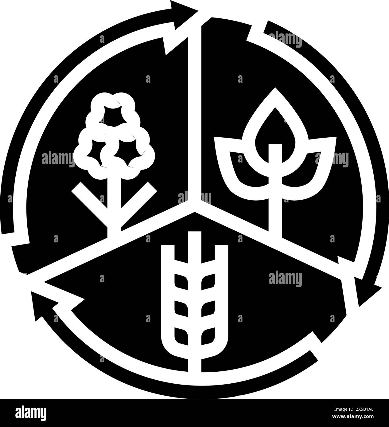 Crop rotation illustration hi-res stock photography and images - Alamy