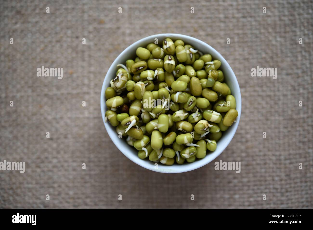 Sprouted beans in a container and cup. Dietary sprouted grains Stock ...