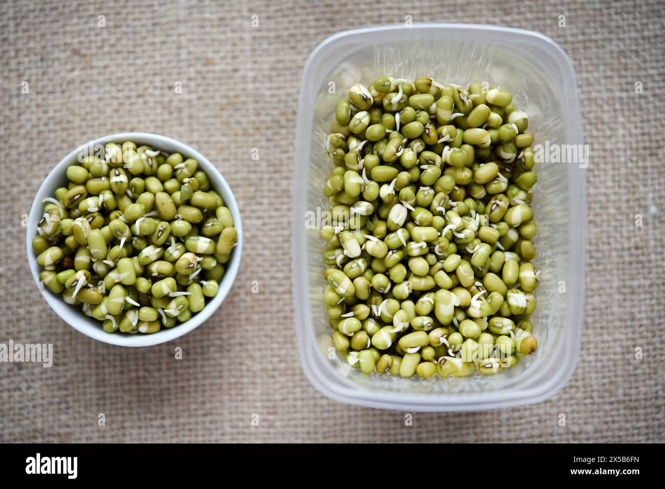 Sprouted beans in a container and cup. Dietary sprouted grains Stock ...