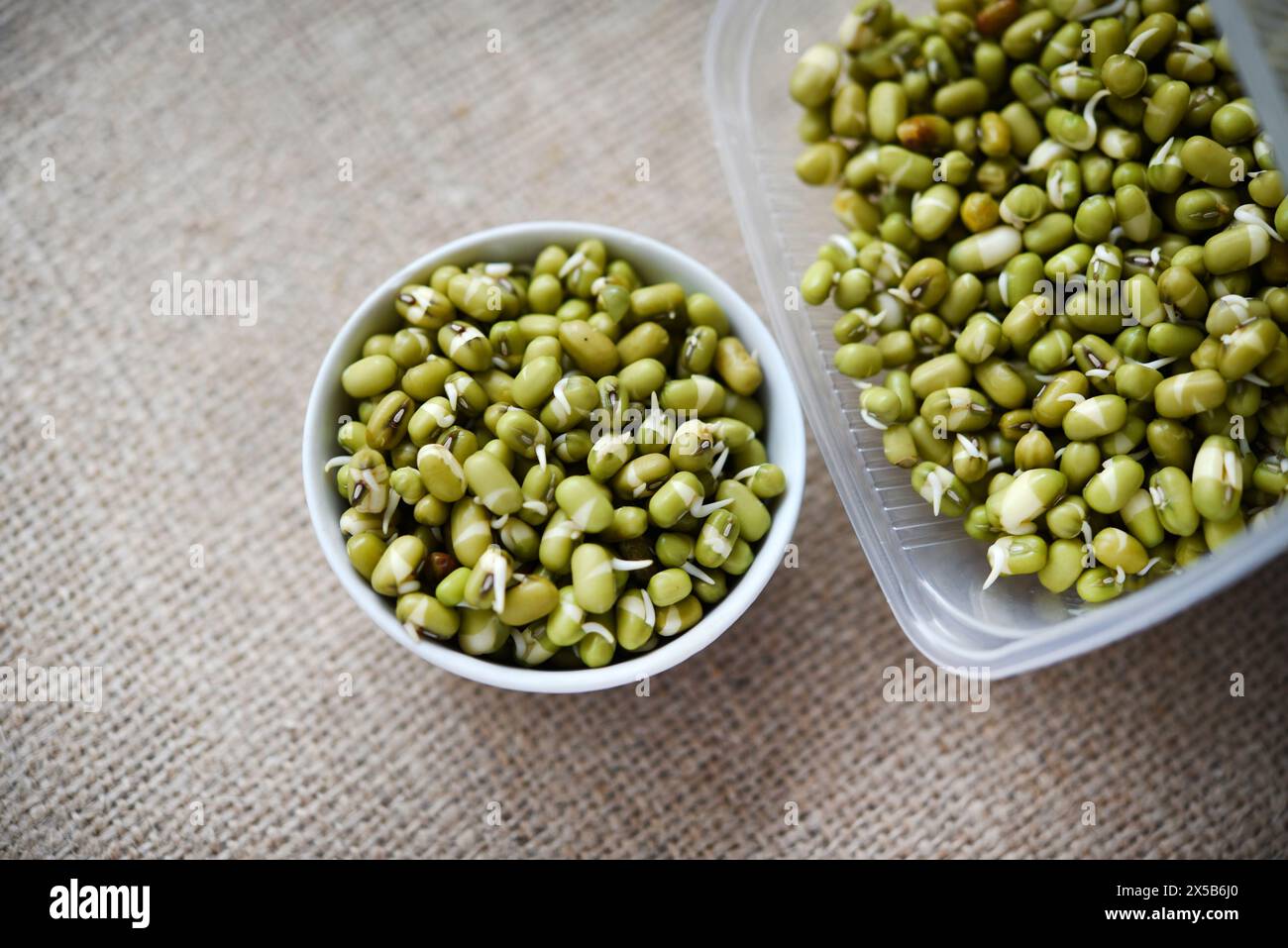 Sprouted beans in a container and cup. Dietary sprouted grains Stock ...