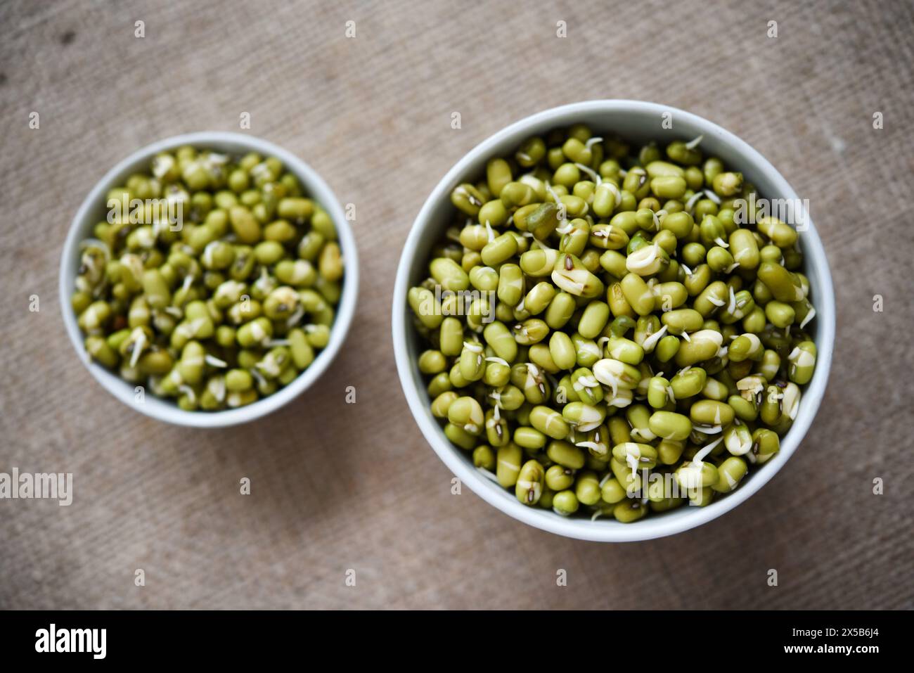 Sprouted beans in a container and cup. Dietary sprouted grains Stock ...