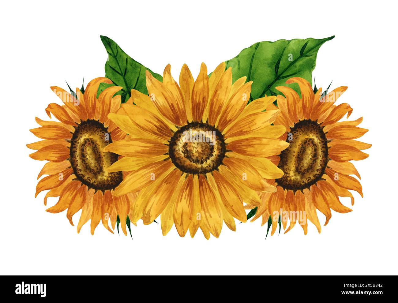 Watercolor sunflowers bouquet, floral arrangement, yellow flowers ...