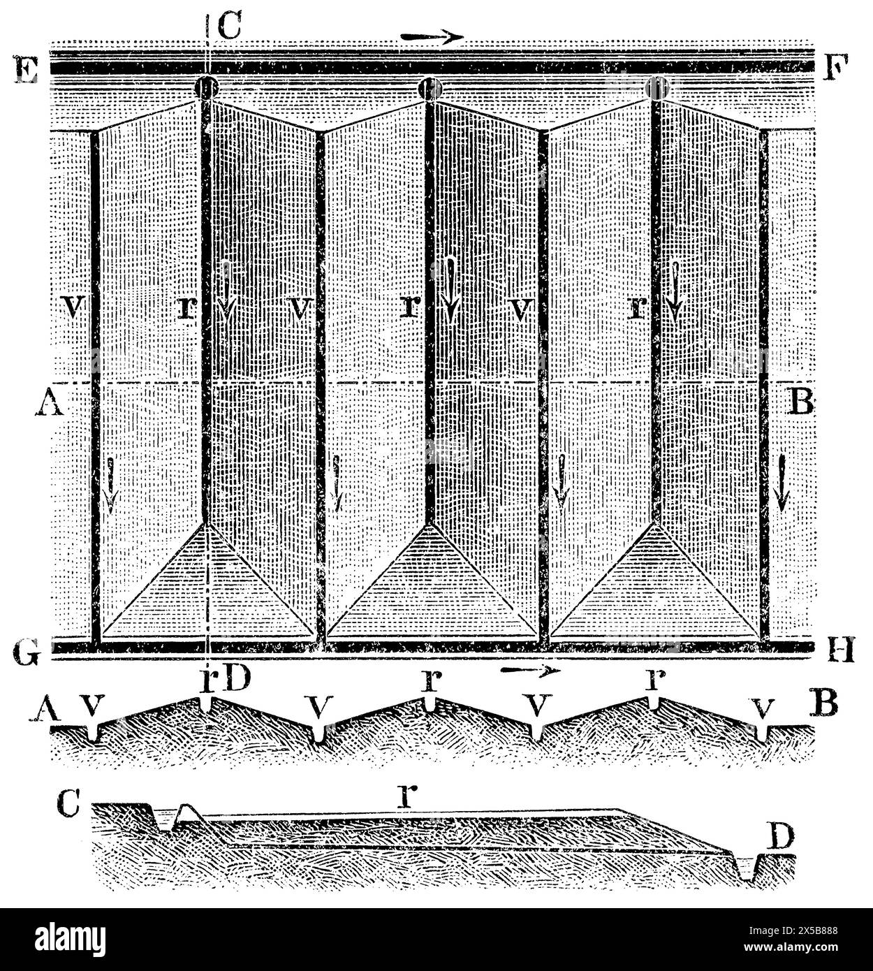 Longitudinal section hi-res stock photography and images - Alamy