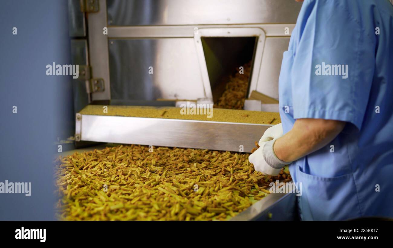 A bakery worker bakes loaves of bread on a conveyor belt. Tray with ...