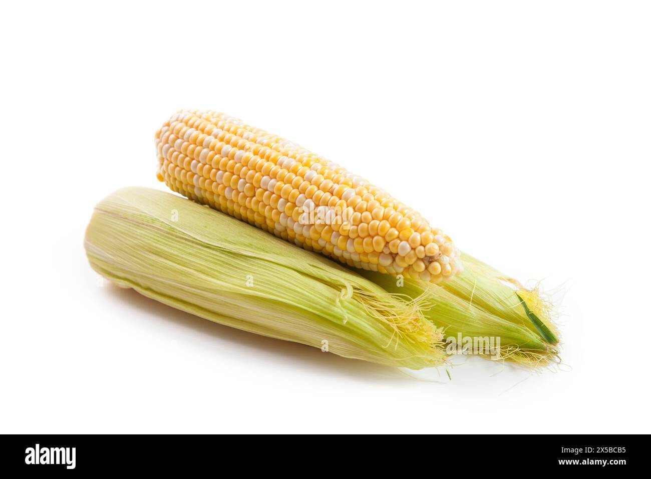 Several ears of ripe corn with soft shadow isolated on white background ...