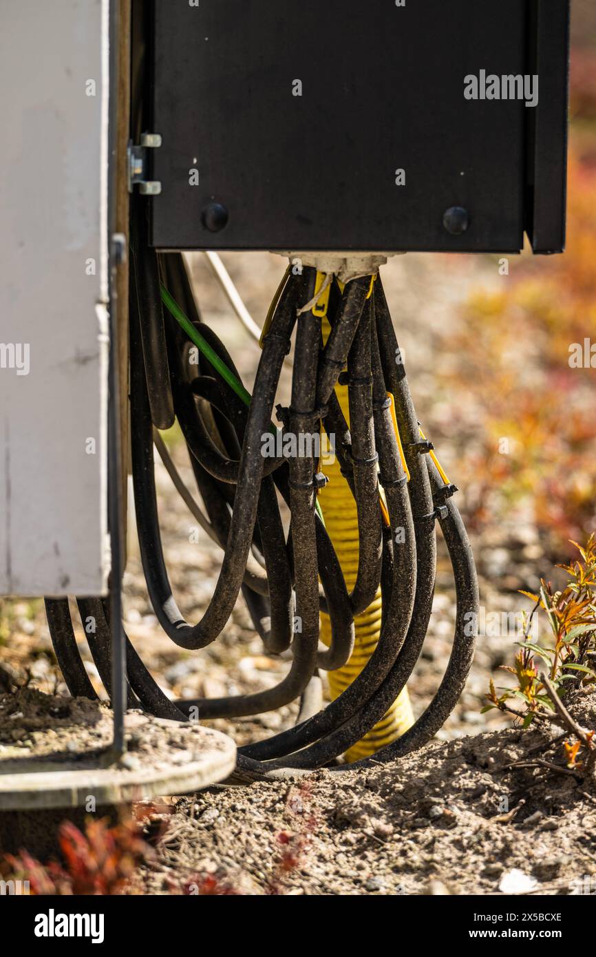 Bunch of electrical cables entering a junction box Stock Photo - Alamy