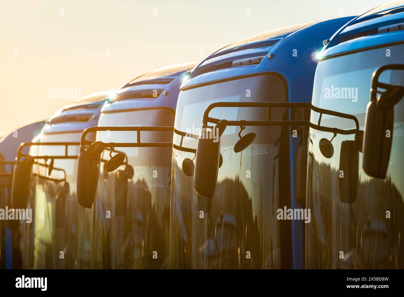 Blue electric buses parked side by side in low evening sun Stock Photo ...