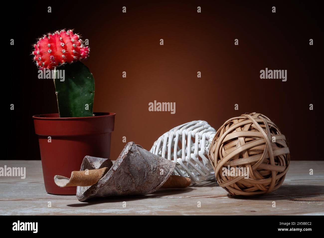 decorative objects made of wood and wicker,red cactus in a pot on a ...