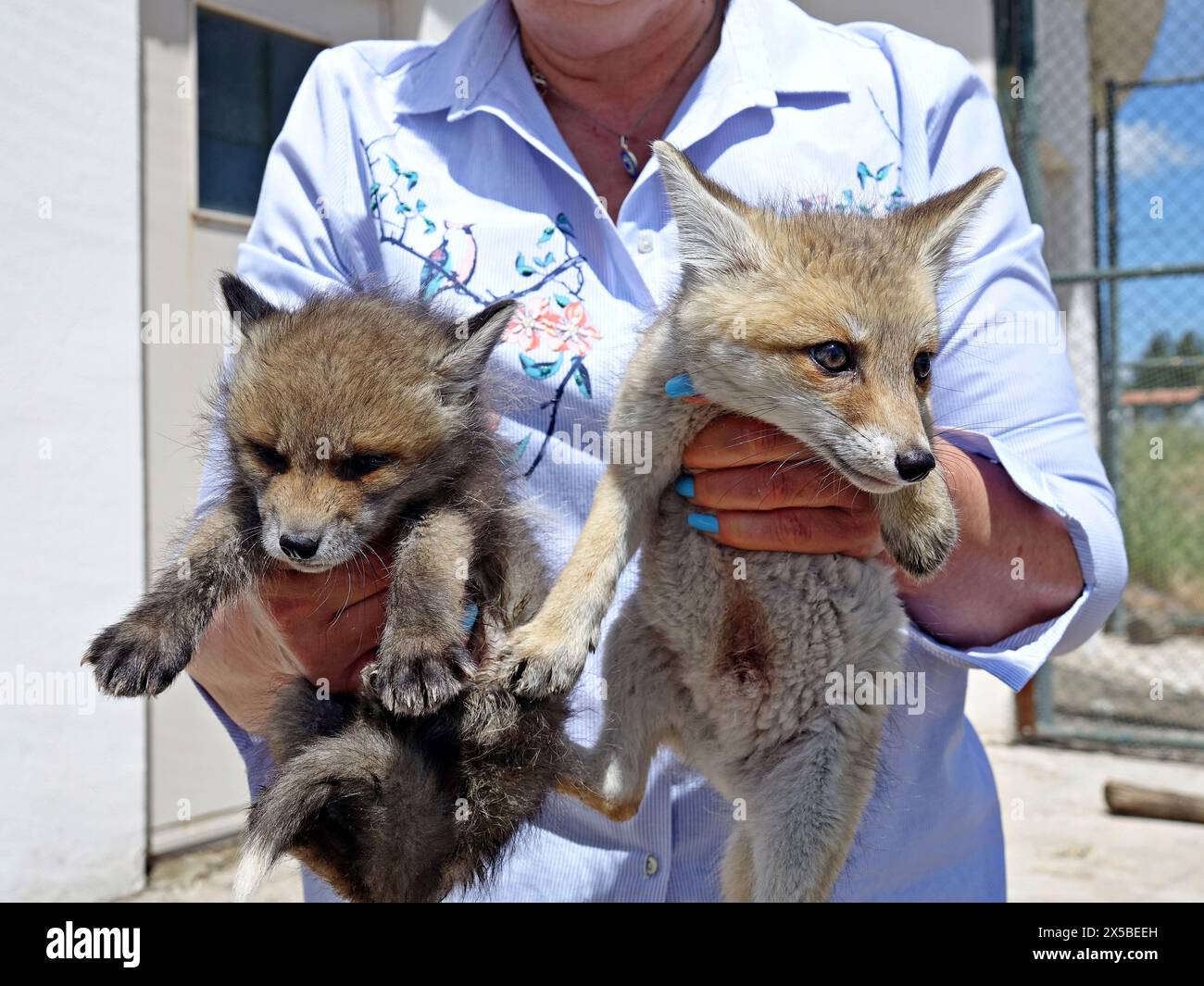 Ekmekciler hi-res stock photography and images - Alamy