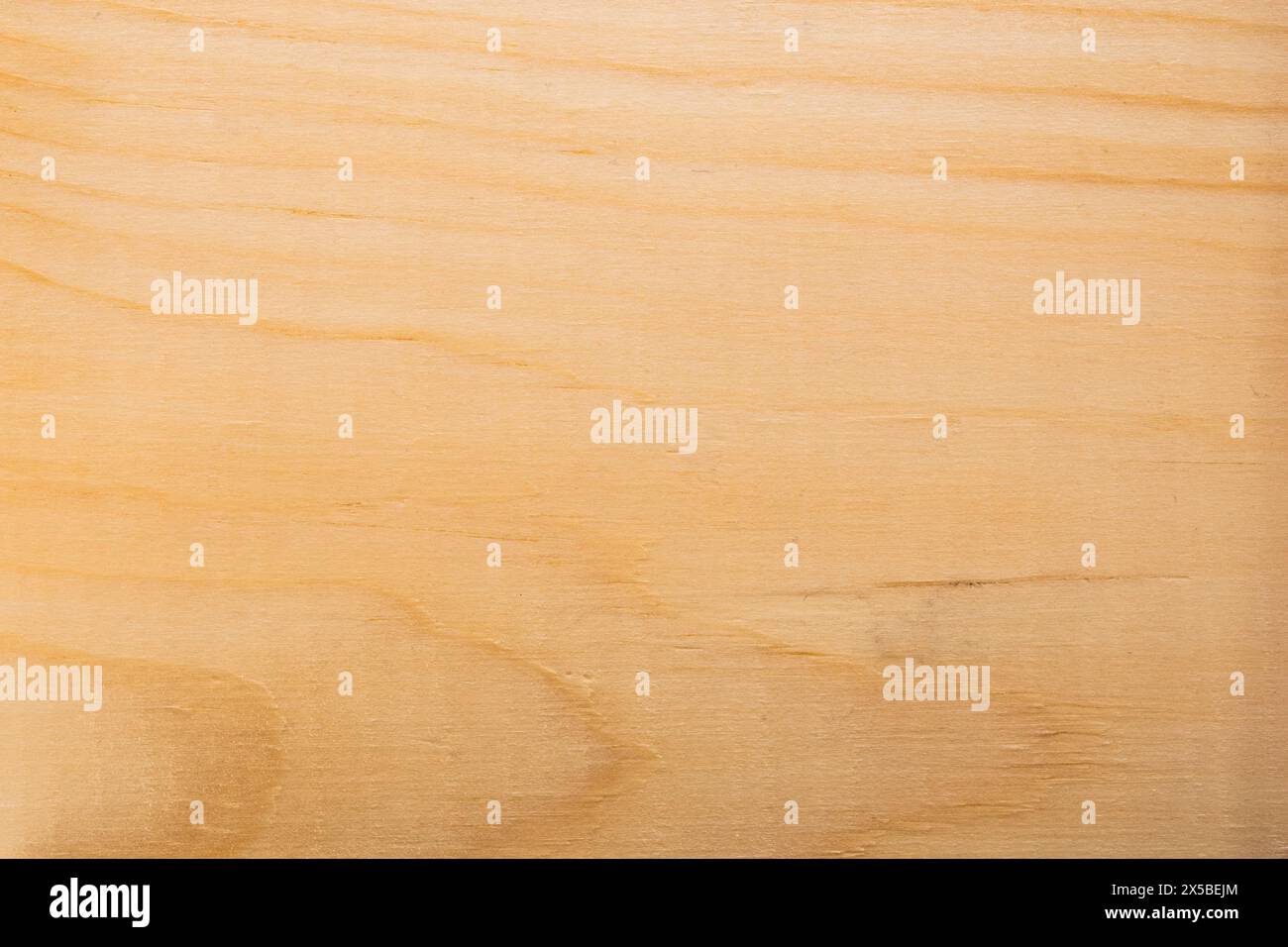 White tan wood texture background with natural patterns. Abstract ...