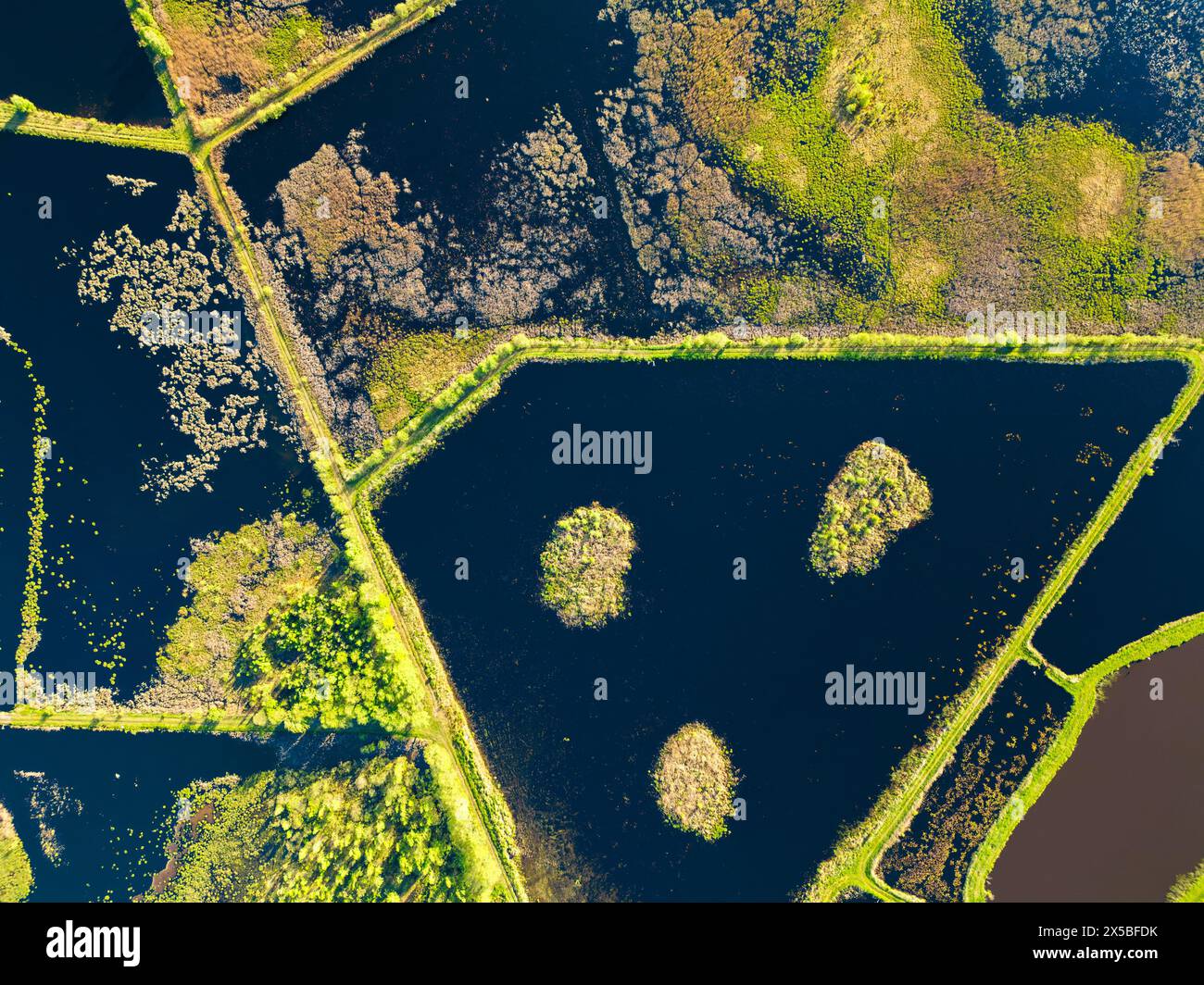 beautiful artificial lake in green forest, serene fishing pond and ...