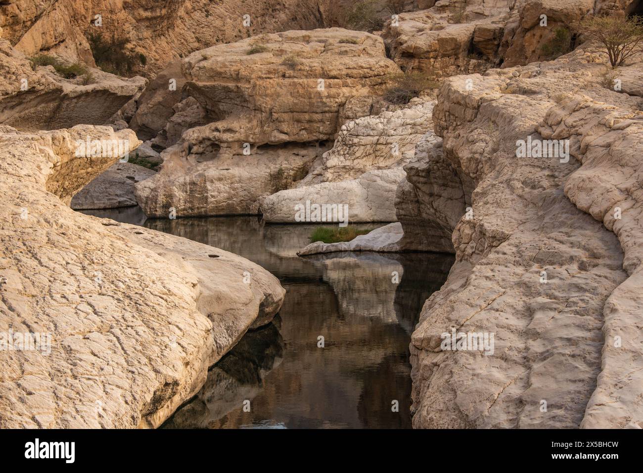 Bani world hi-res stock photography and images - Alamy