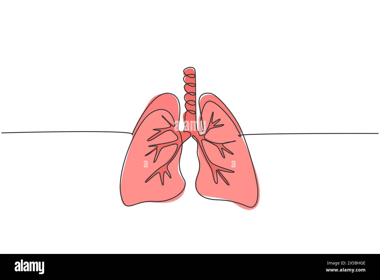 One continuous line drawing of anatomical human lungs organ. Dynamic ...