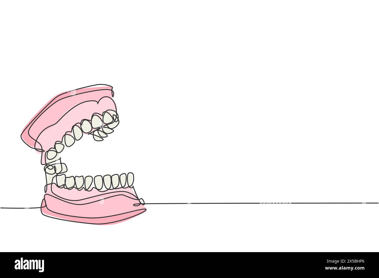 One continuous line drawing of anatomical complete adult human teeth ...