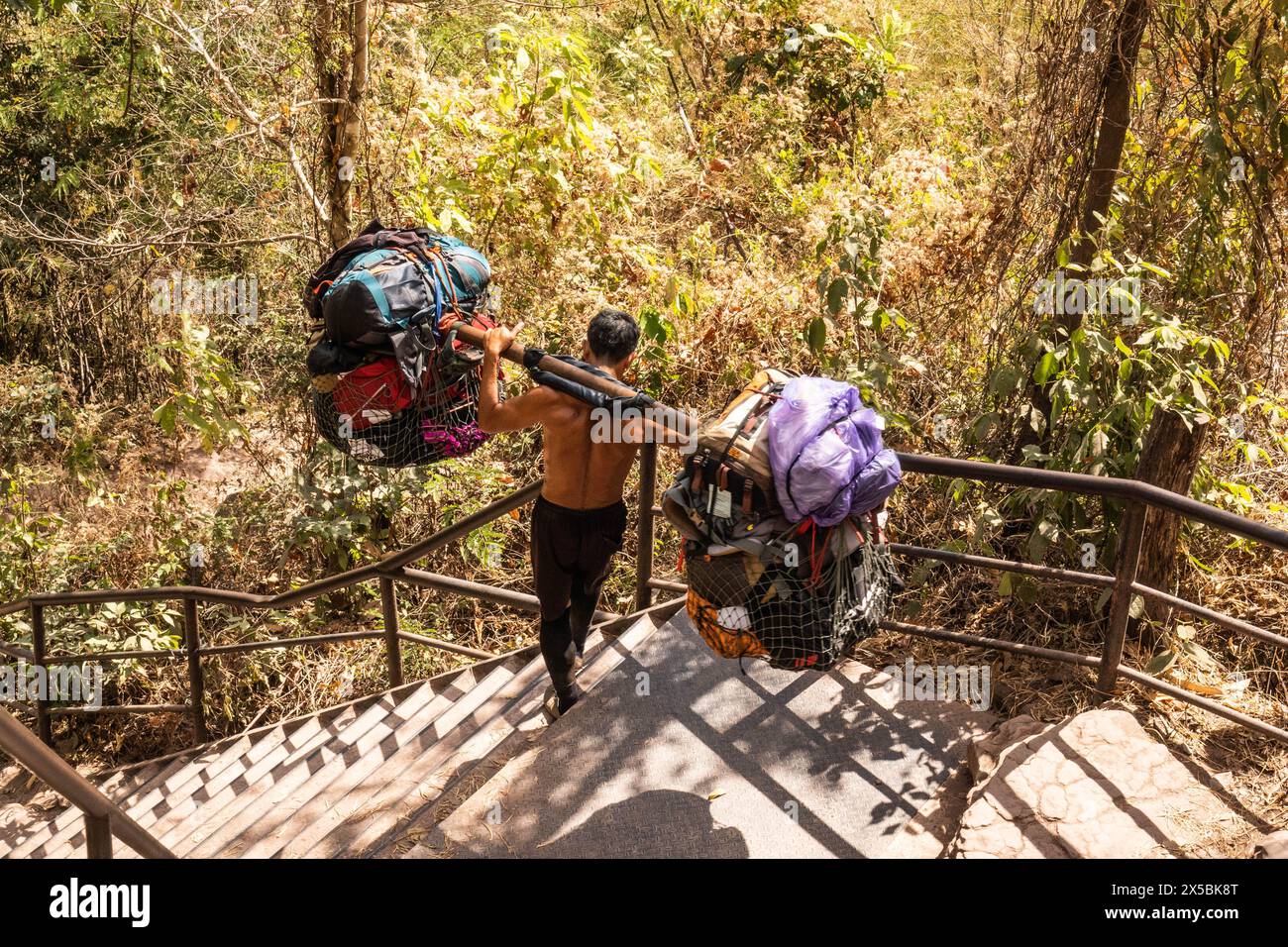 Porter carrying a heavy load, Phu Kradueng National Park, Loei ...