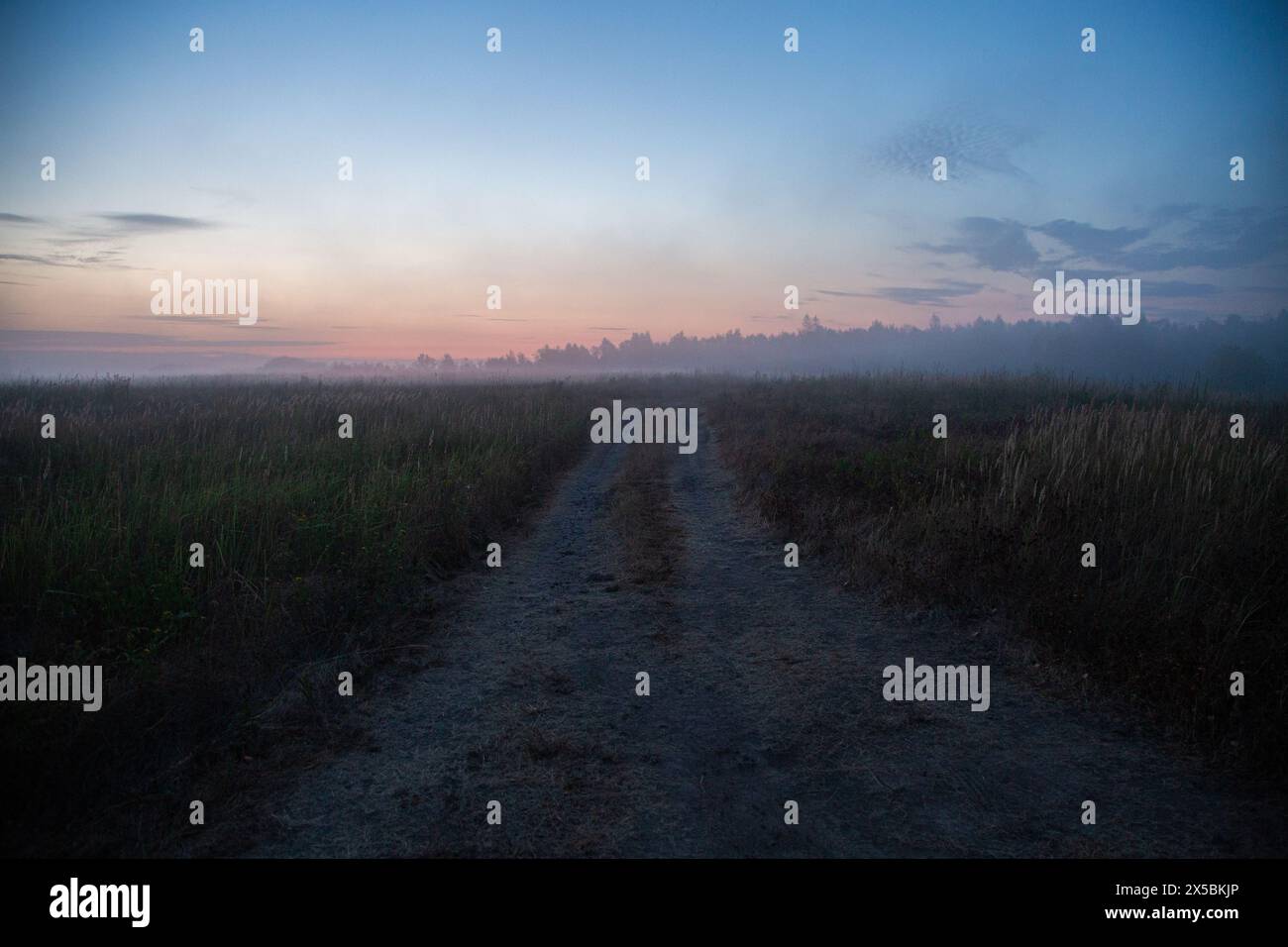 ground road into fog at summer sunrise Stock Photo - Alamy