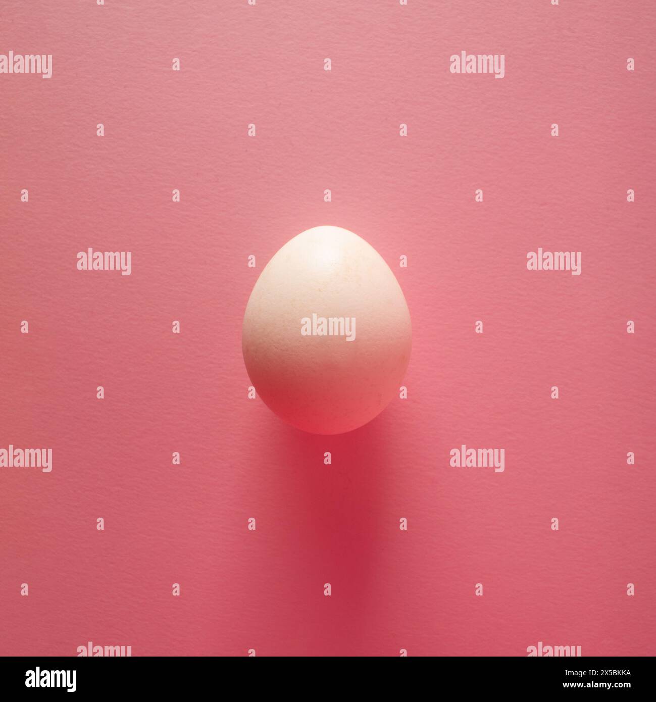 Pink dyed chicken egg hi-res stock photography and images - Alamy