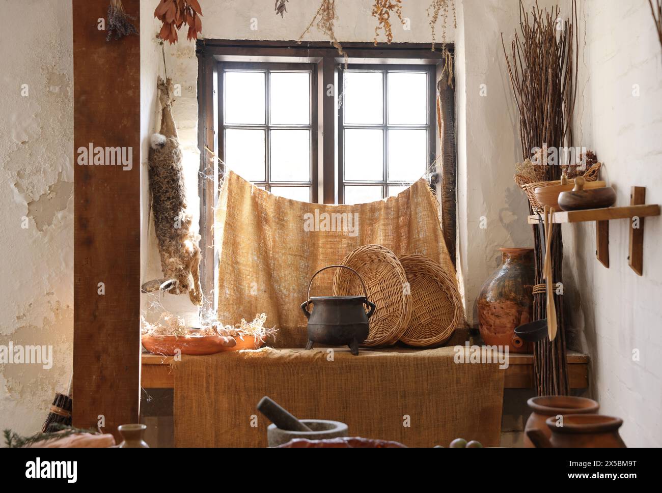 The historic Tudor House in Southampton, encompassing over 800 years of ...
