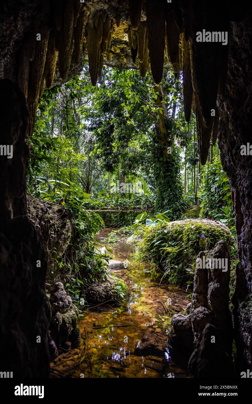 View of a Stream and Plants from the Exit of a Small Cave in Parque ...