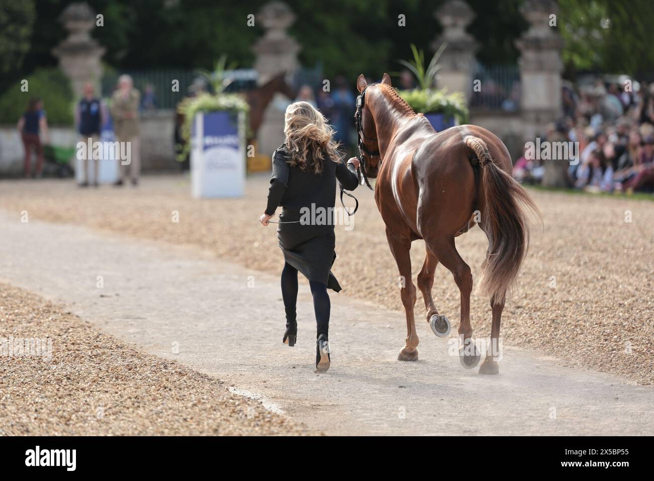 Alexandra Knowles of the United States with Morswood during the first ...