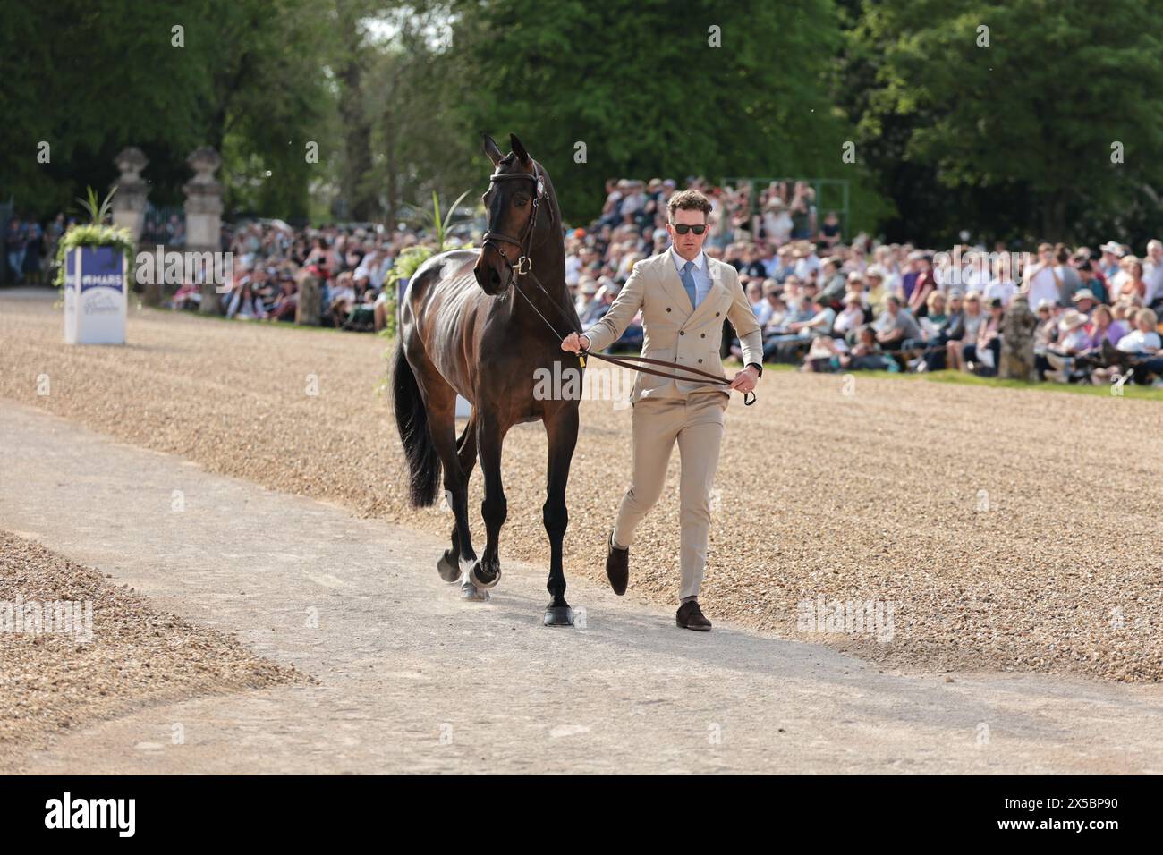 Jesse Campbell of New Zealand with Cooley Lafitte during the first ...
