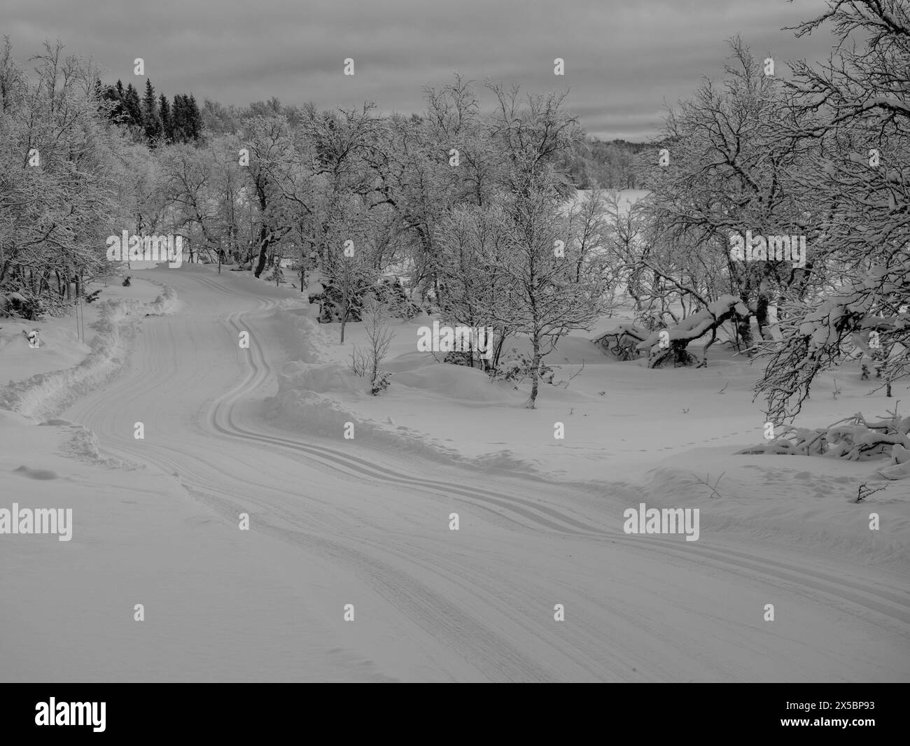 Sweden cross country ski Black and White Stock Photos & Images - Alamy