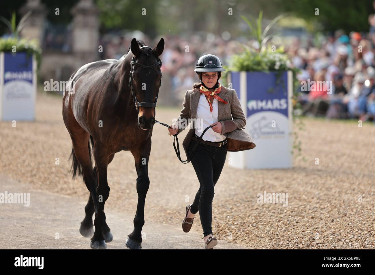 Nicky Hill of Great Britain with Mgh Bingo Boy during the first horse ...