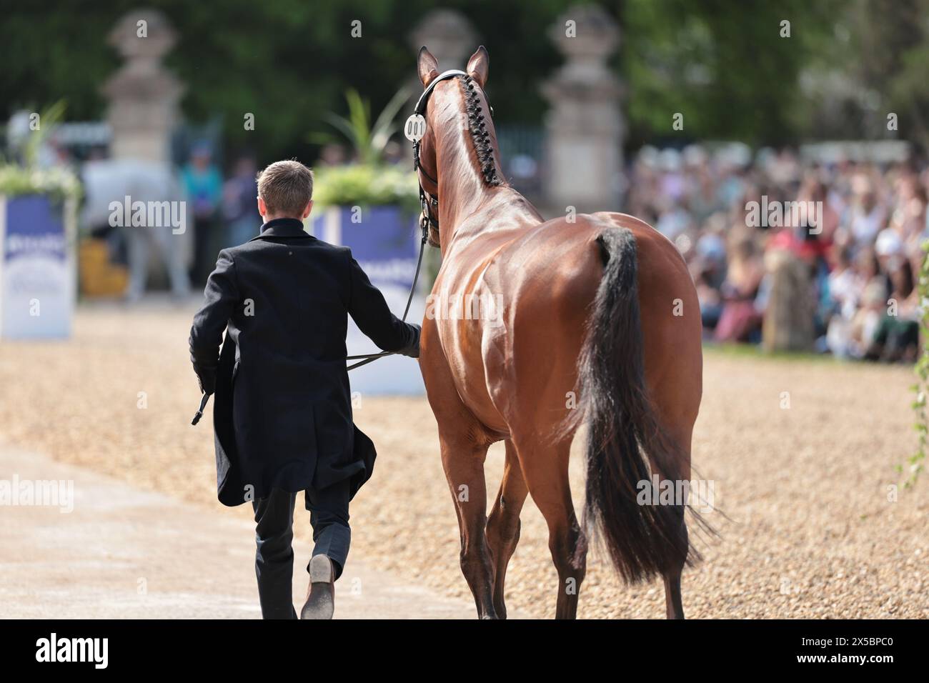 Tom Jackson of Great Britain with Farndon during the first horse ...