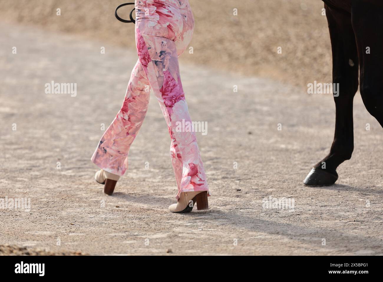 Helen Bates of Great Britain with Carpe Diem during the first horse ...
