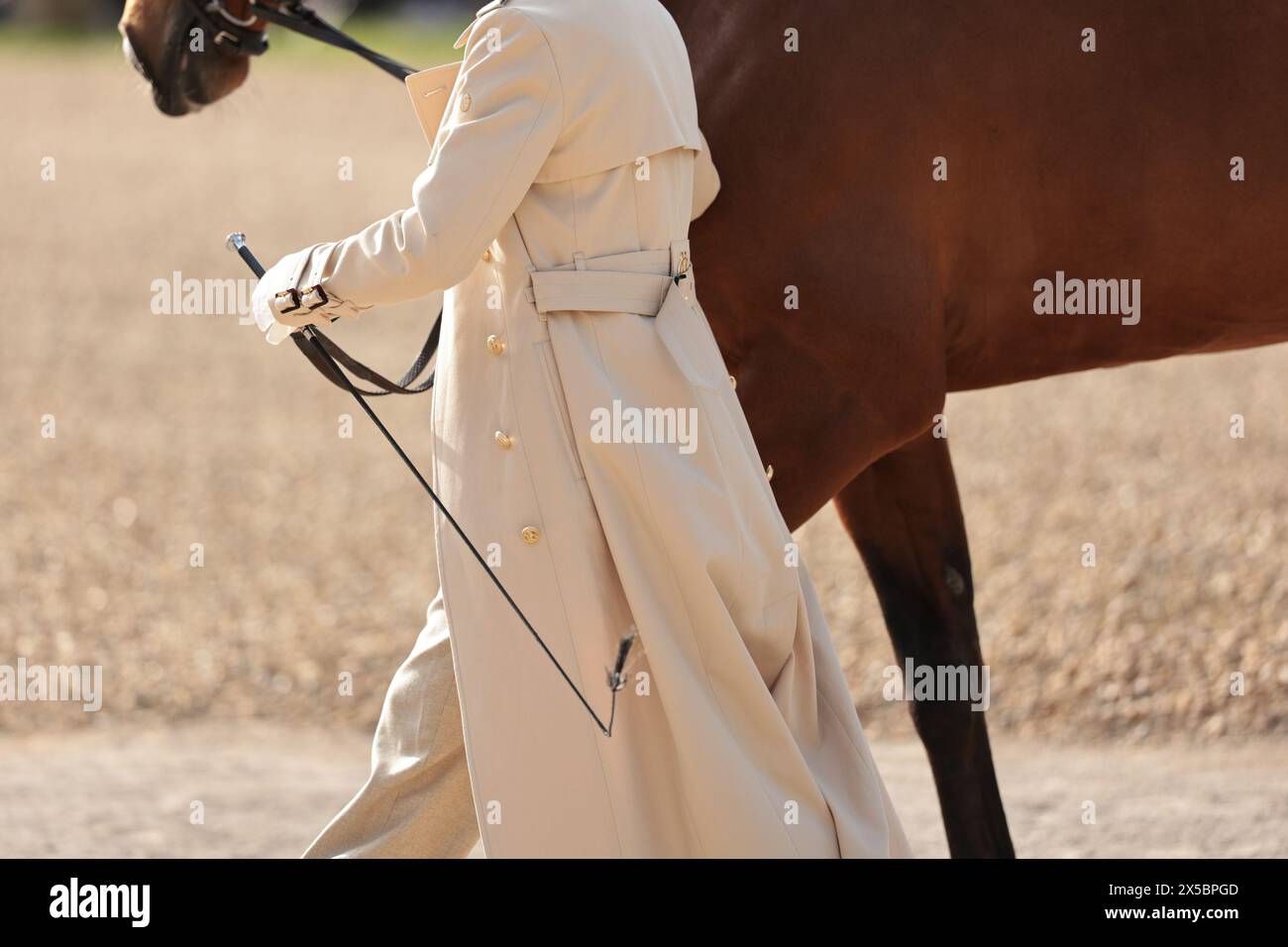 Lauren Innes of New Zealand with Global Fision M during the first horse ...