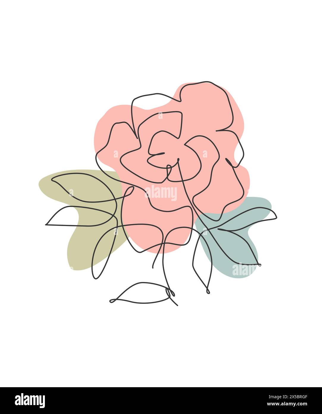 One Single Line Drawing Beauty Rose Flower Vector Illustration Minimal
