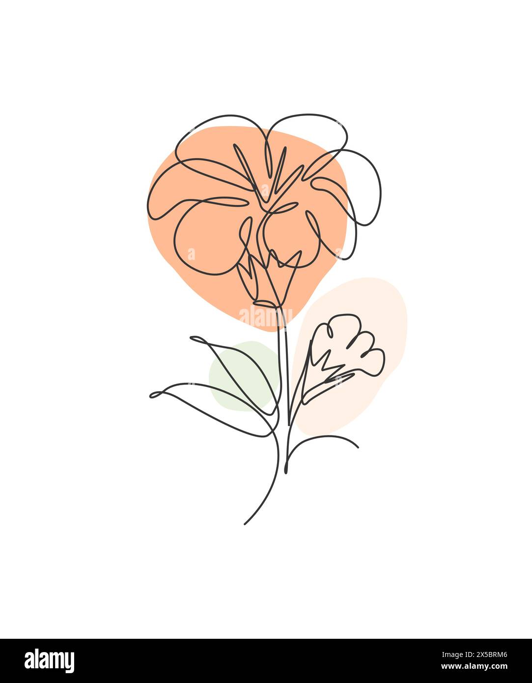 Hibiscus flower vector hi-res stock photography and images - Alamy