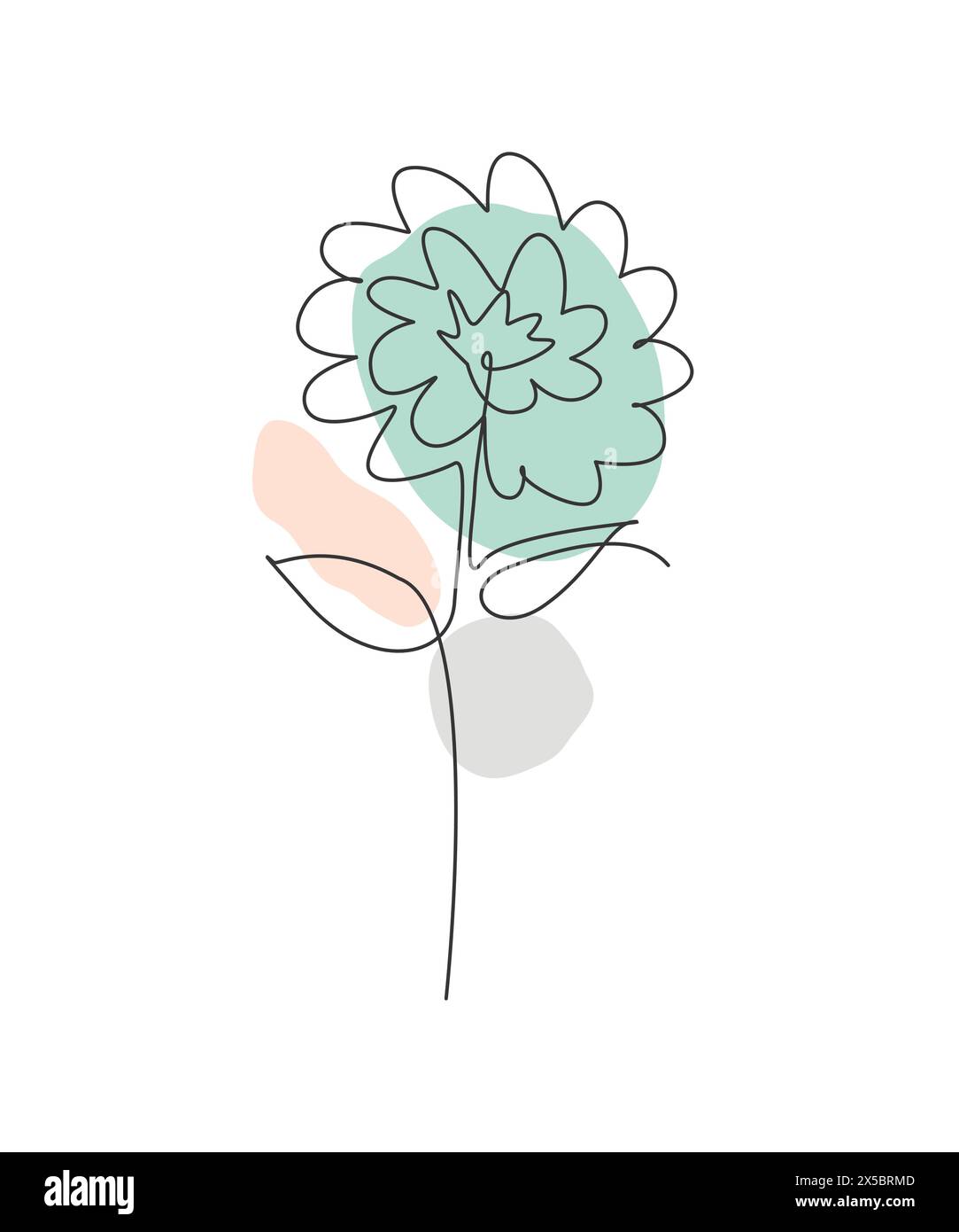 One Single Line Drawing Beauty Aster Flower Vector Illustration