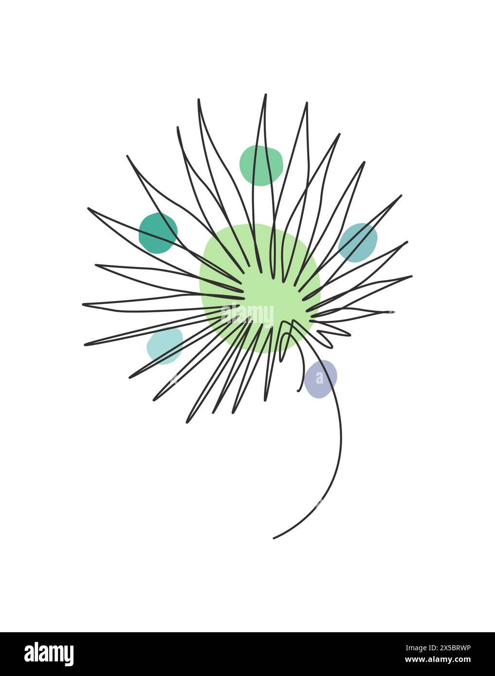 Single continuous line drawing livistona rotundifolia leaf. Botany ...