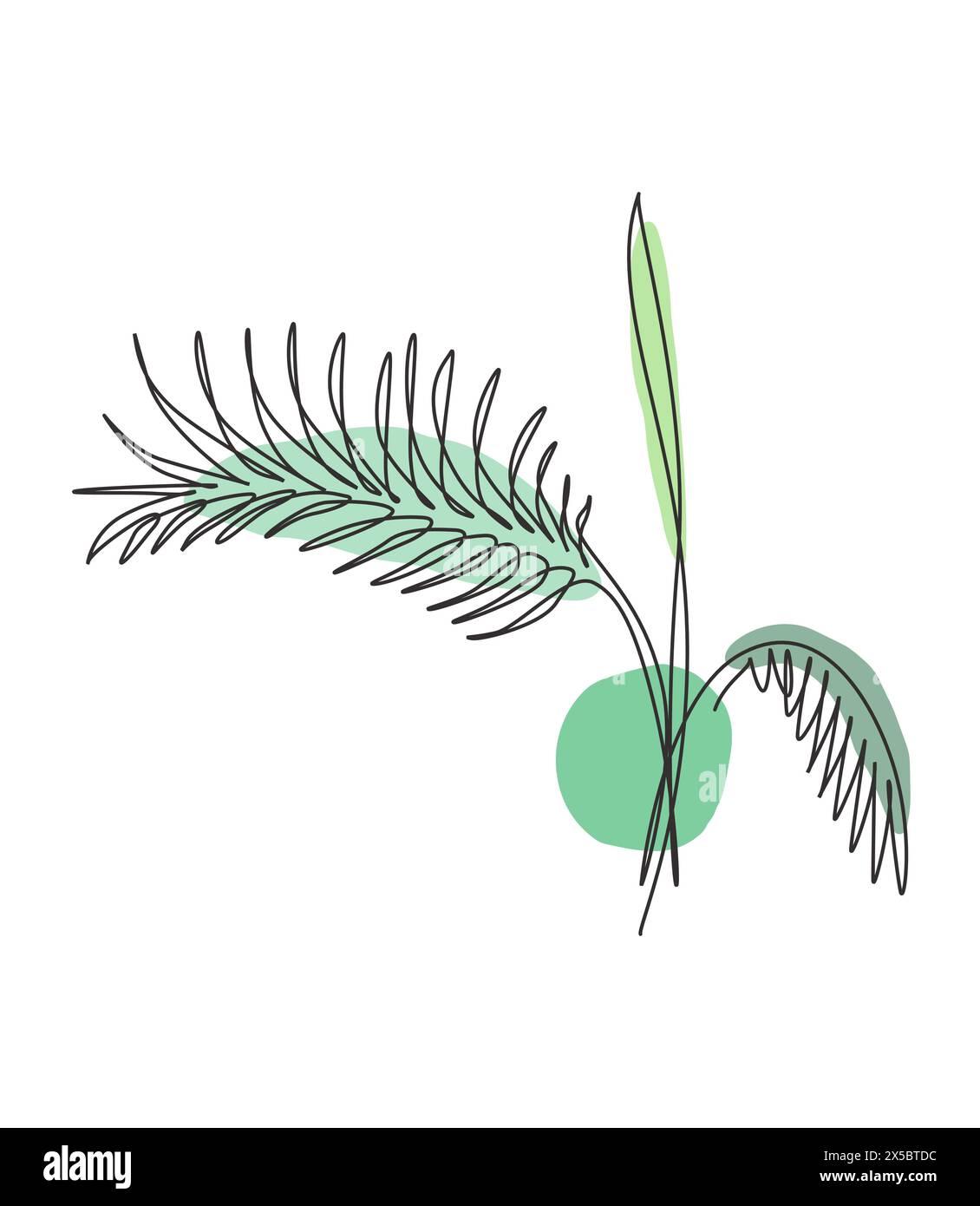 Areca plantation Stock Vector Images - Alamy