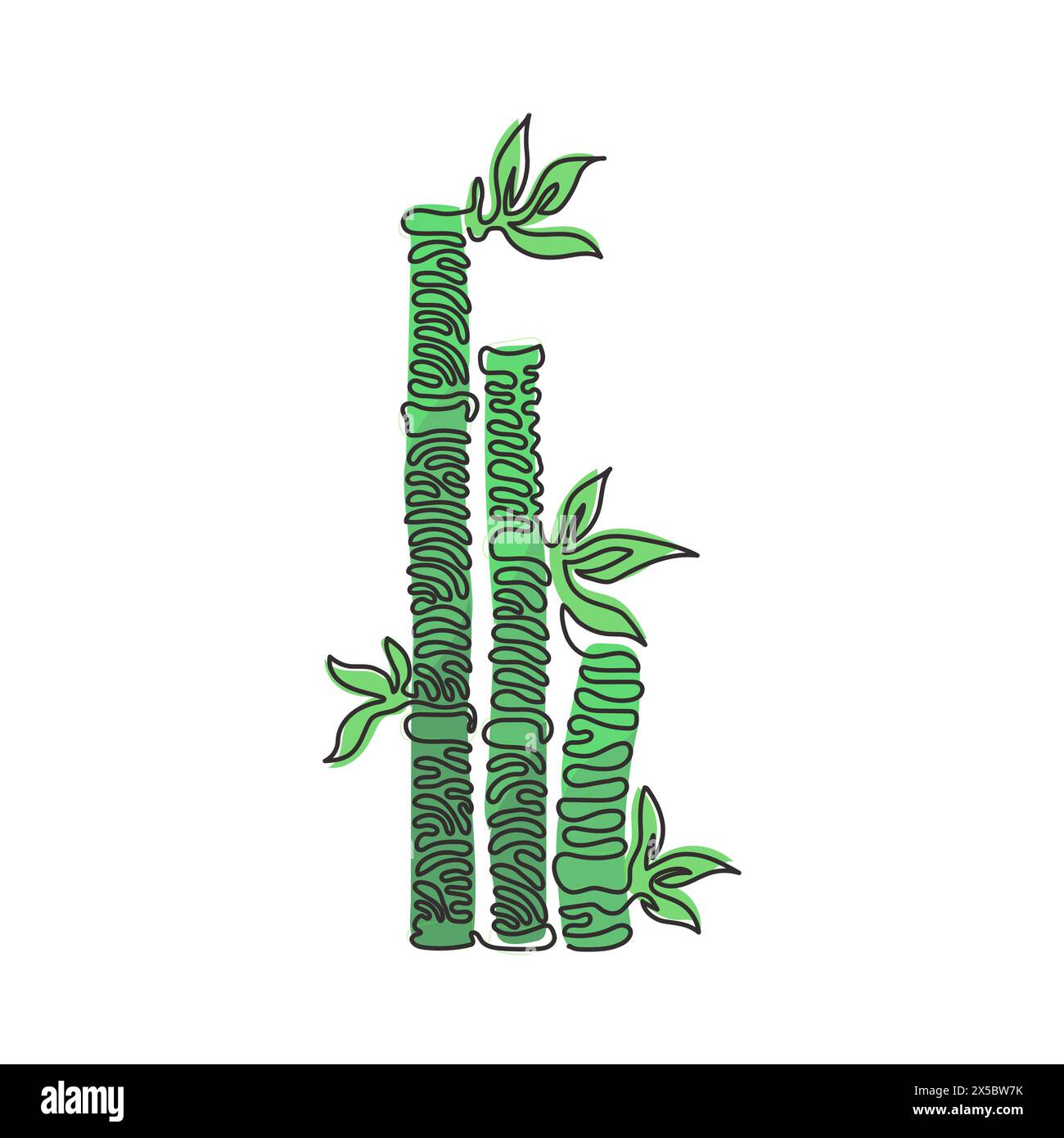 Bamboo Plants Drawing