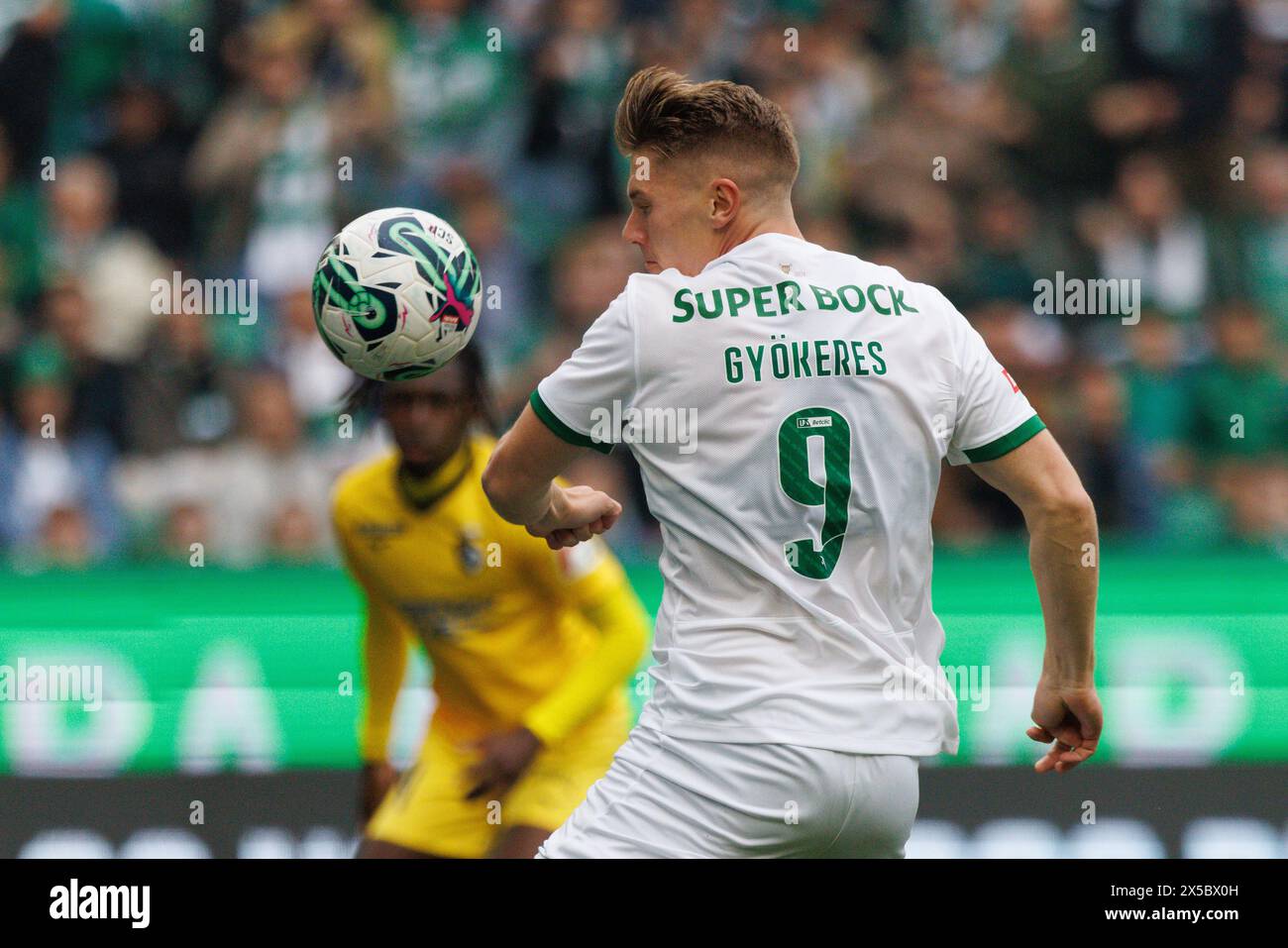 Viktor Gyokeres during Liga Portugal game between Sporting CP and ...