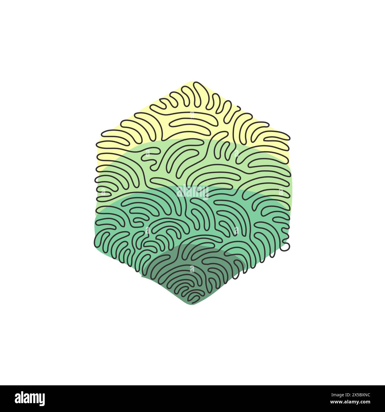 Single continuous line drawing hand drawn hexagon, blank drawing frame ...