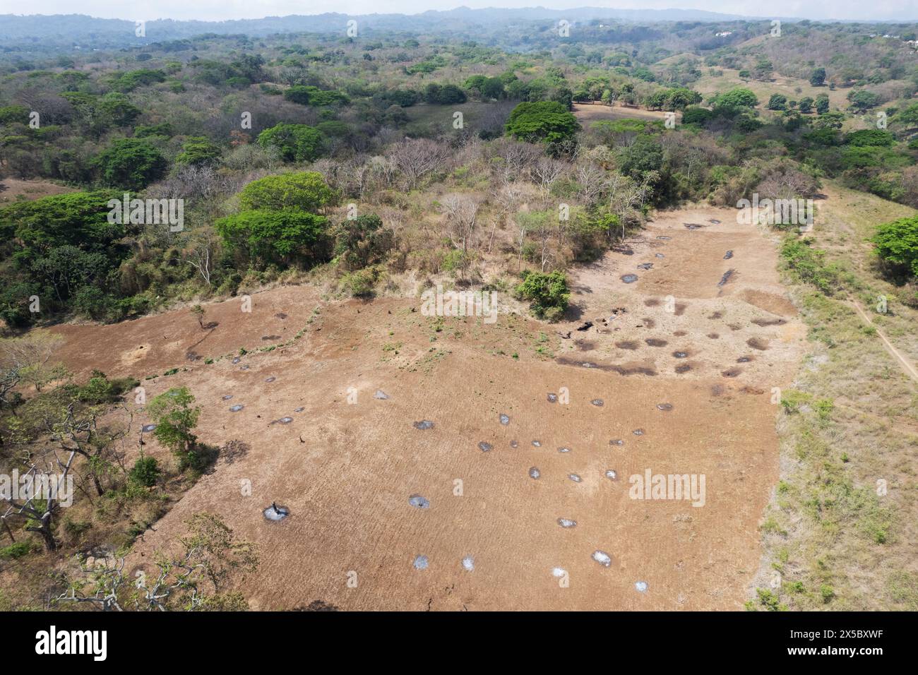 Cleaning land from trees for agriculture landscape aerial view Stock ...