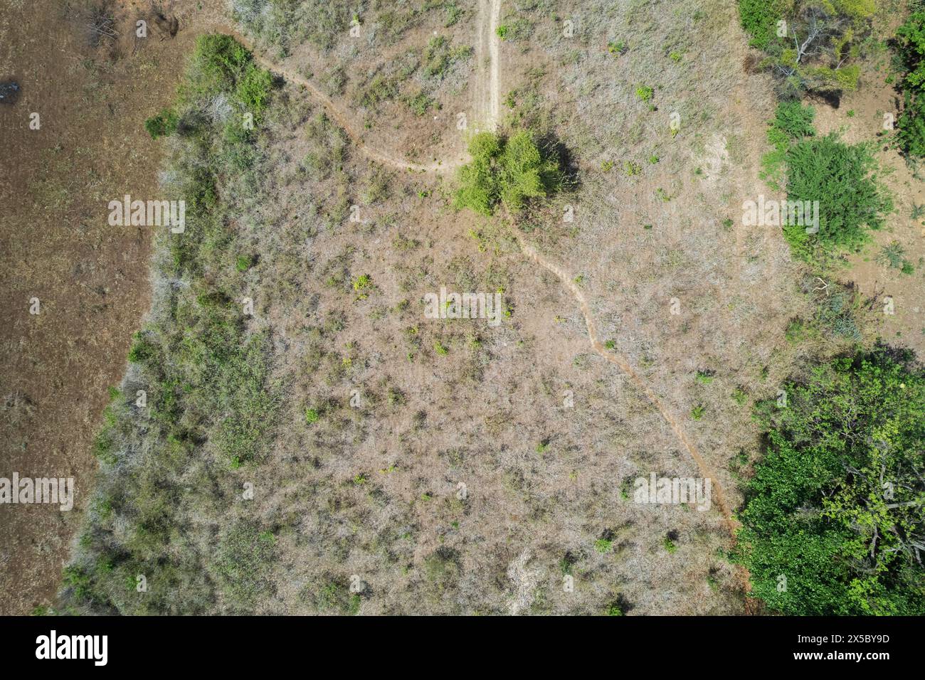 Earth trees aerial view hi-res stock photography and images - Alamy