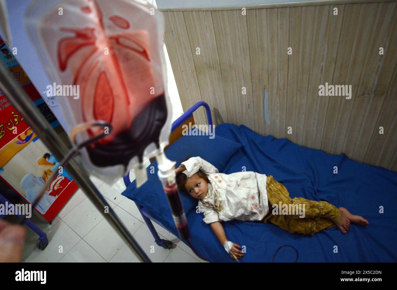 May 8, 2024, Peshawar, Peshawar, Pakistan: World Thalassemia Day in ...