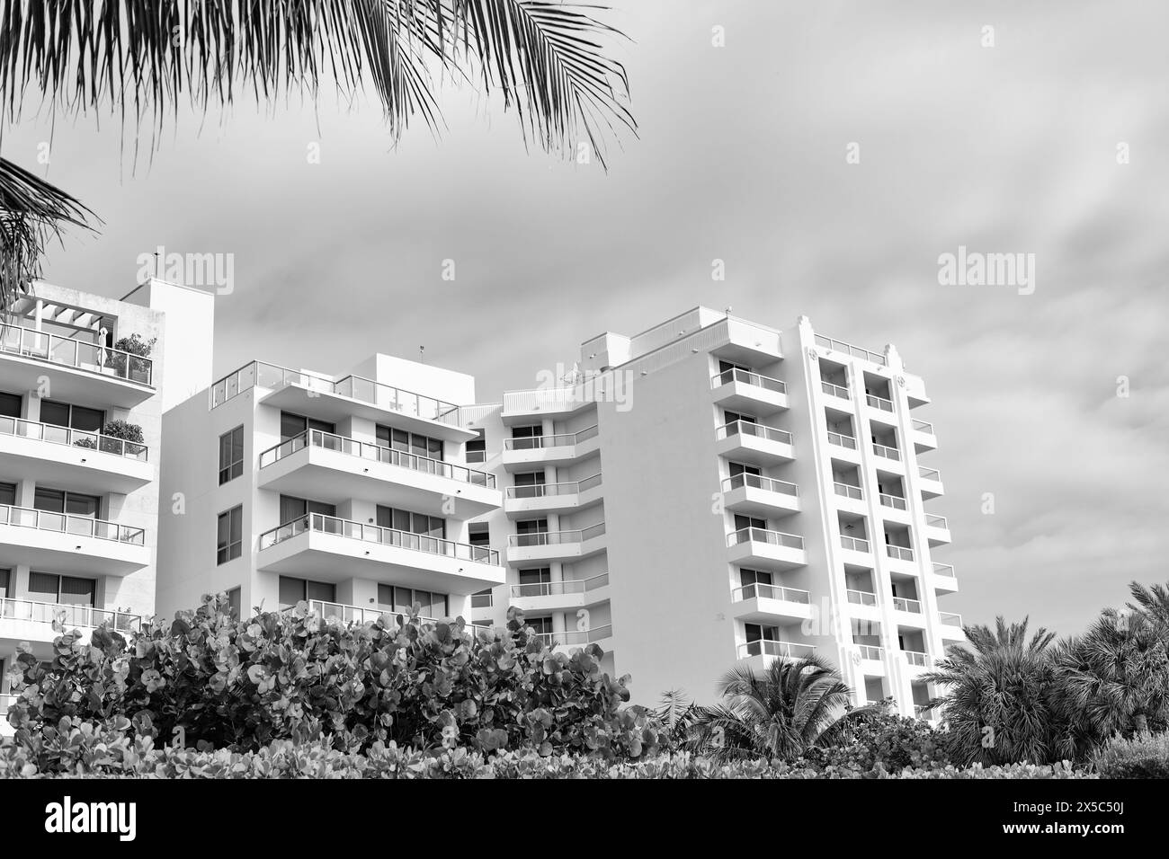 building architecture in miami. building architecture in florida ...