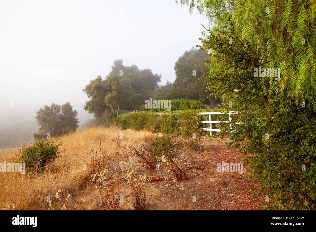 An outdoor scene in Ojai, California, USA Stock Photo - Alamy