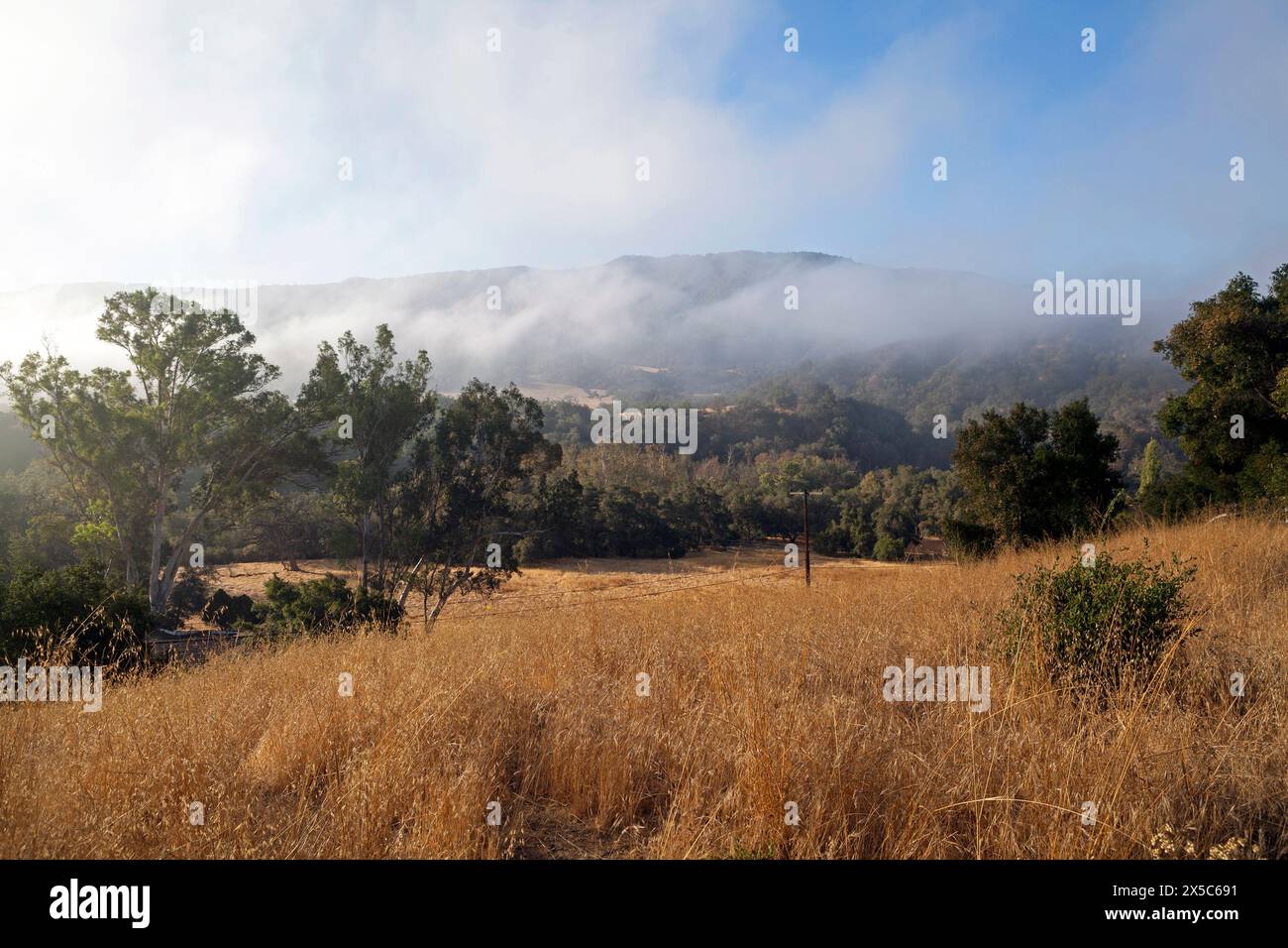 An outdoor scene in Ojai, California, USA Stock Photo - Alamy