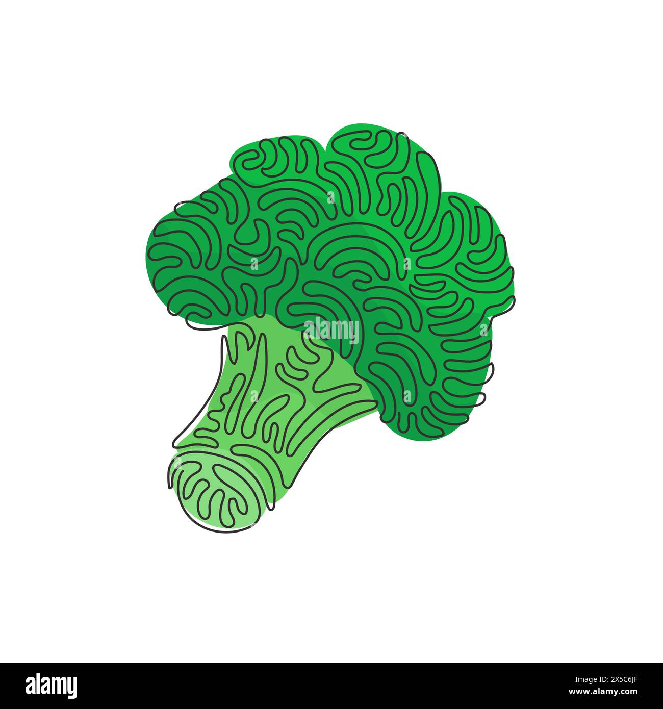 Broccoli drawing hi-res stock photography and images - Alamy
