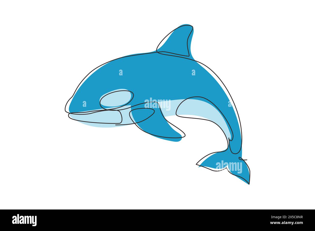 Single continuous line drawing whale killer orca in water. Wild whale ...