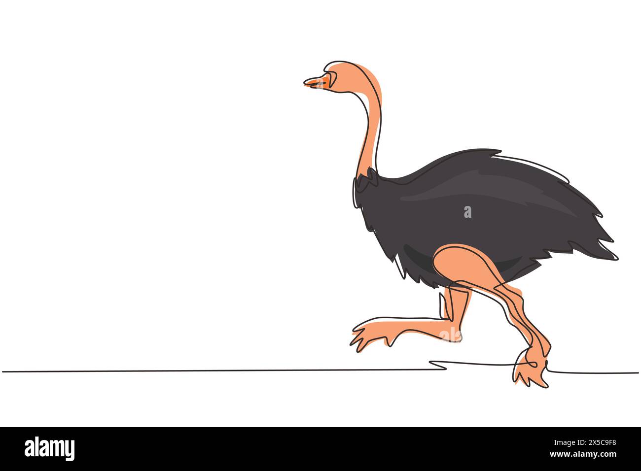 Single continuous line drawing African ostrich walks on the savannah ...