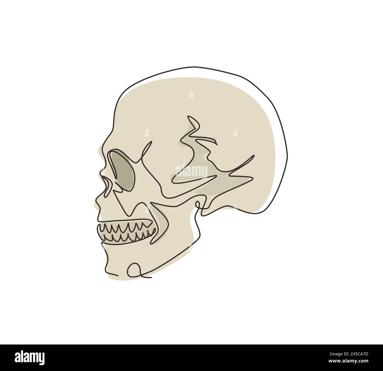 Single continuous line drawing black and white illustration of skull. Human head bone. Skeleton ...