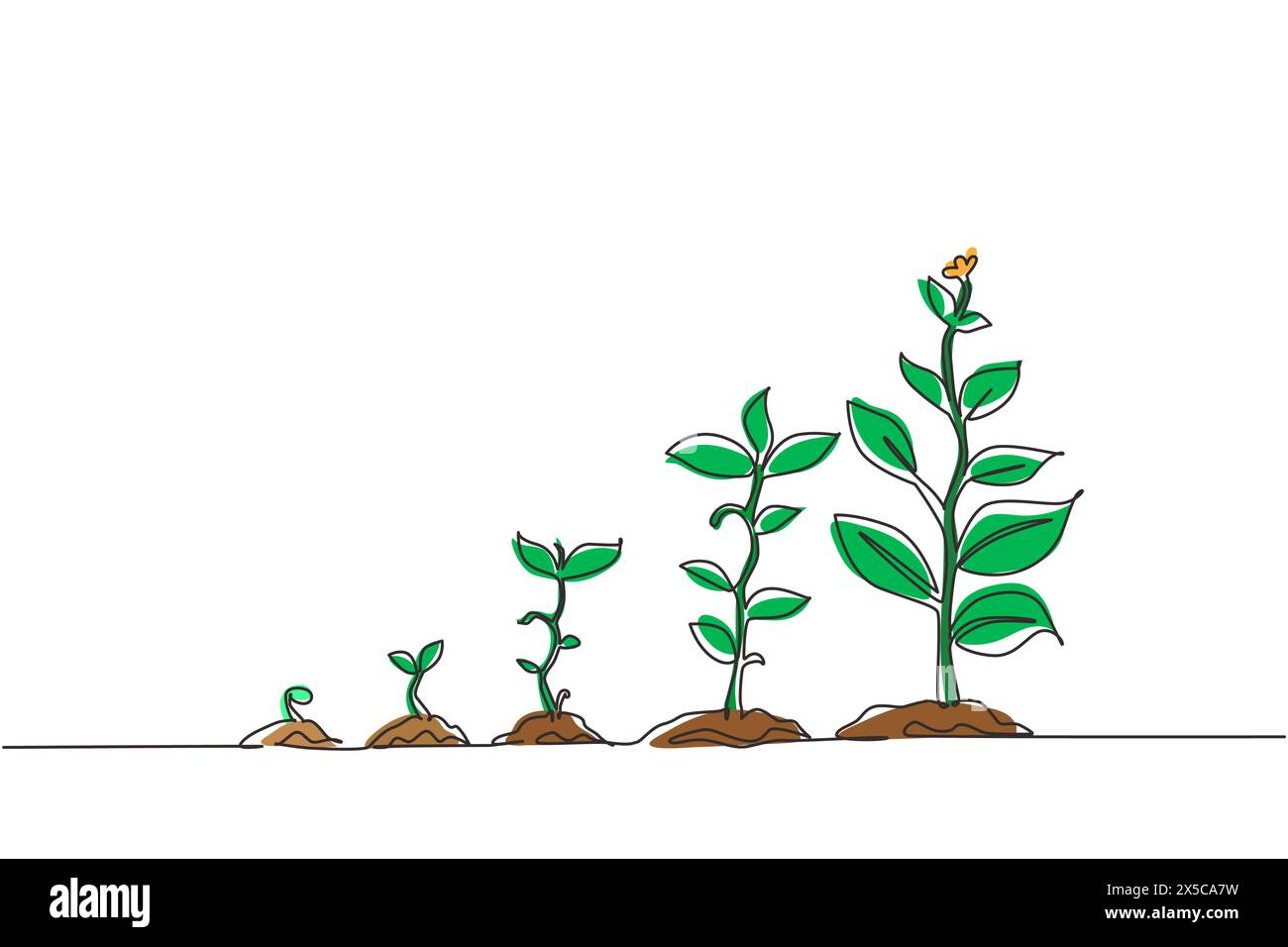 Plant sprout seeds in Stock Vector Images - Alamy